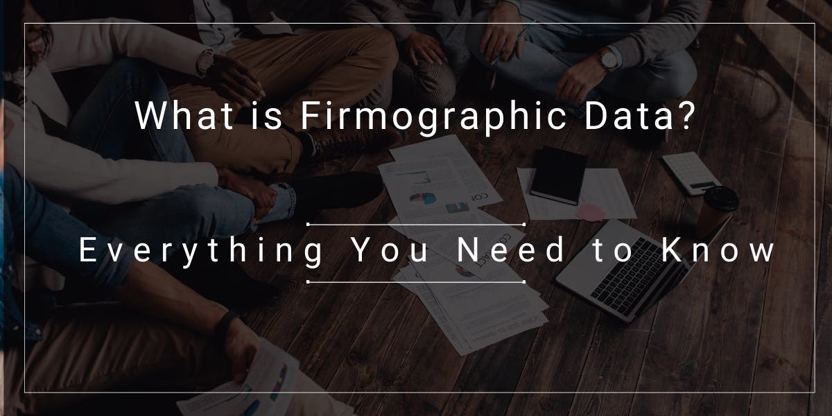 What is Firmographic Data? Everything You Need to Know - Flipnode