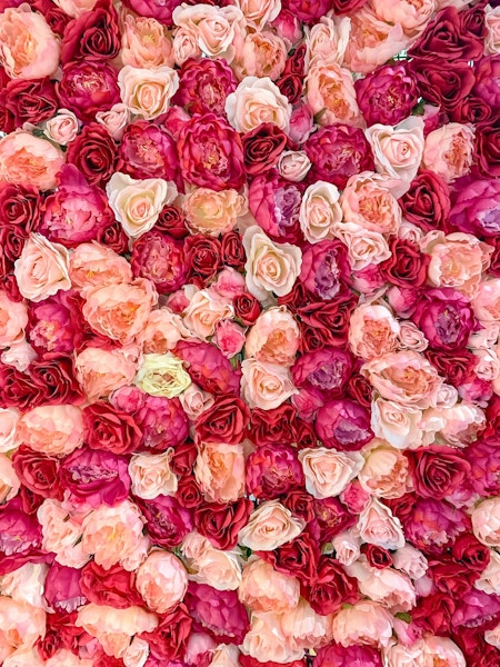 How to Keep Roses Alive: A Comprehensive Guide to Rose Care
