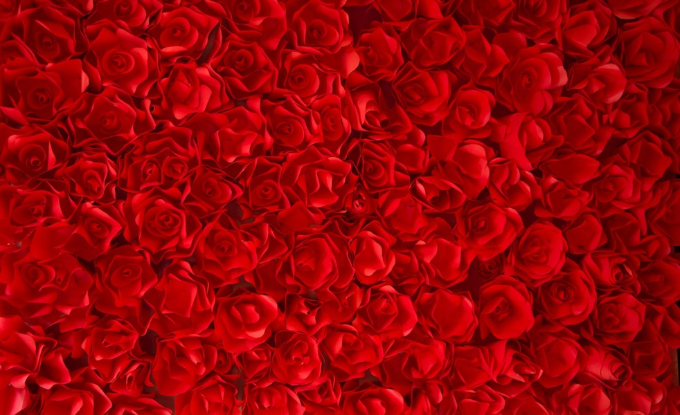 How Long Do Roses Last: A Complete Guide to Rose Lifespan