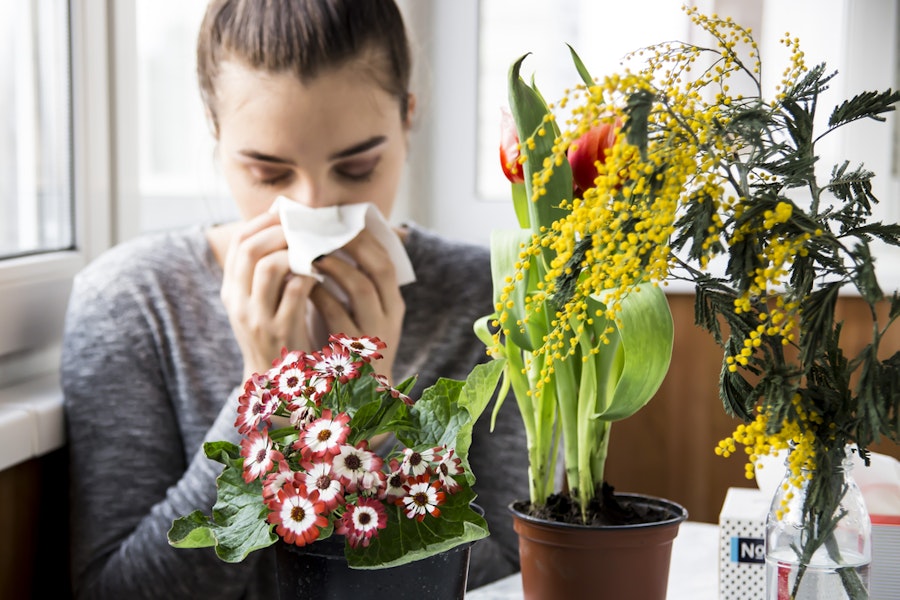 The Best Flowers for Allergy Sufferers