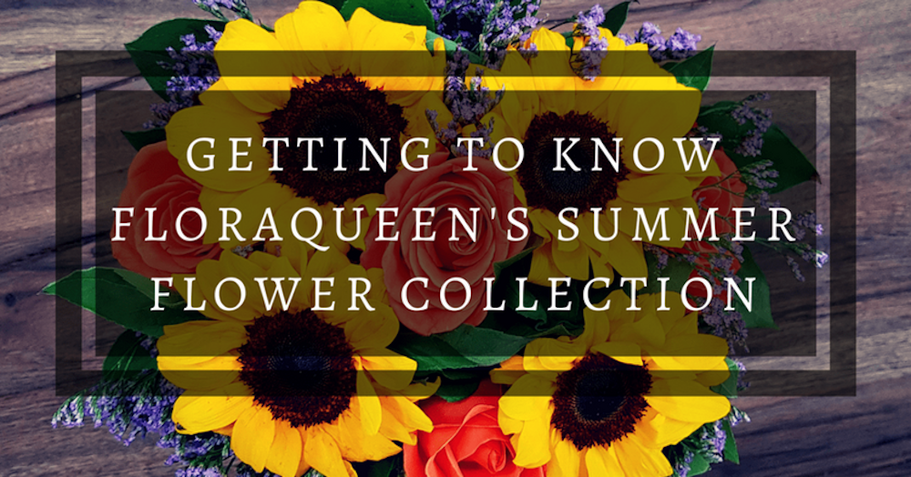 Getting to Know FloraQueen’s Summer Flower Collection