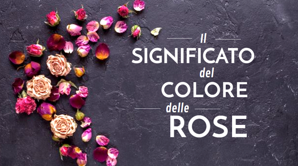 Significato del Colore delle Rose: 50 sfumature d’amore