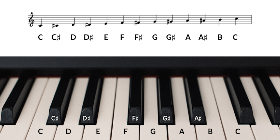 Piano Notes: The essentials for pianists and keyboard players | flowkey
