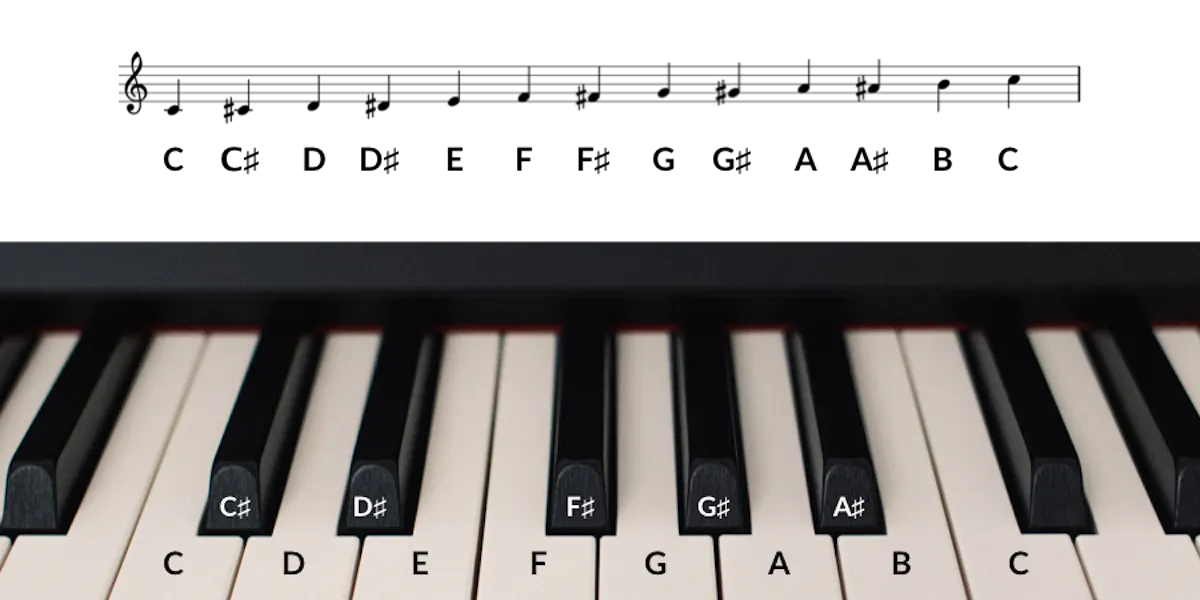 Piano Notes: The essentials for pianists and keyboard players | flowkey