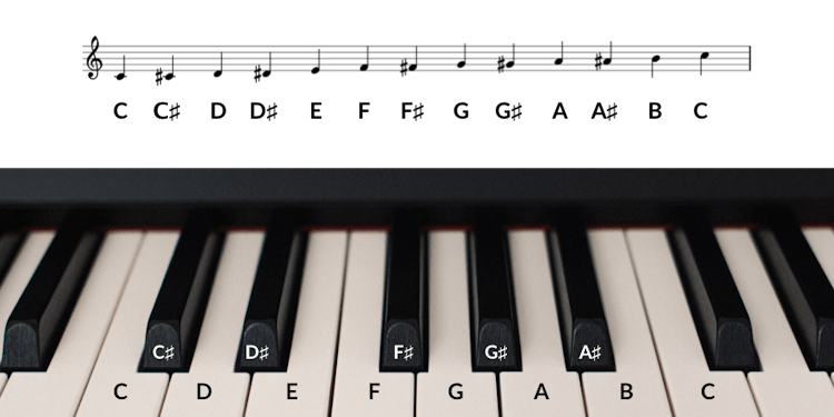 Piano Notes: The essentials for pianists and keyboard players | flowkey