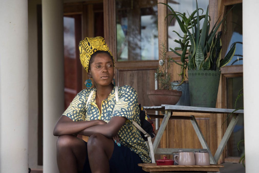 “Imbizo Ka Mafavuke” , “Learning from Artemisia” / Uriel Orlow (CH ...