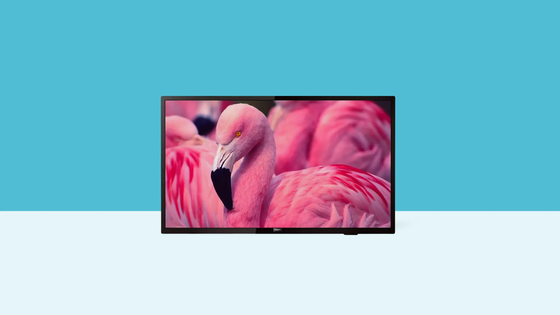 Philips 43" MediaSuite Hospitality TV 43HFL4014 | Commercial Laundry