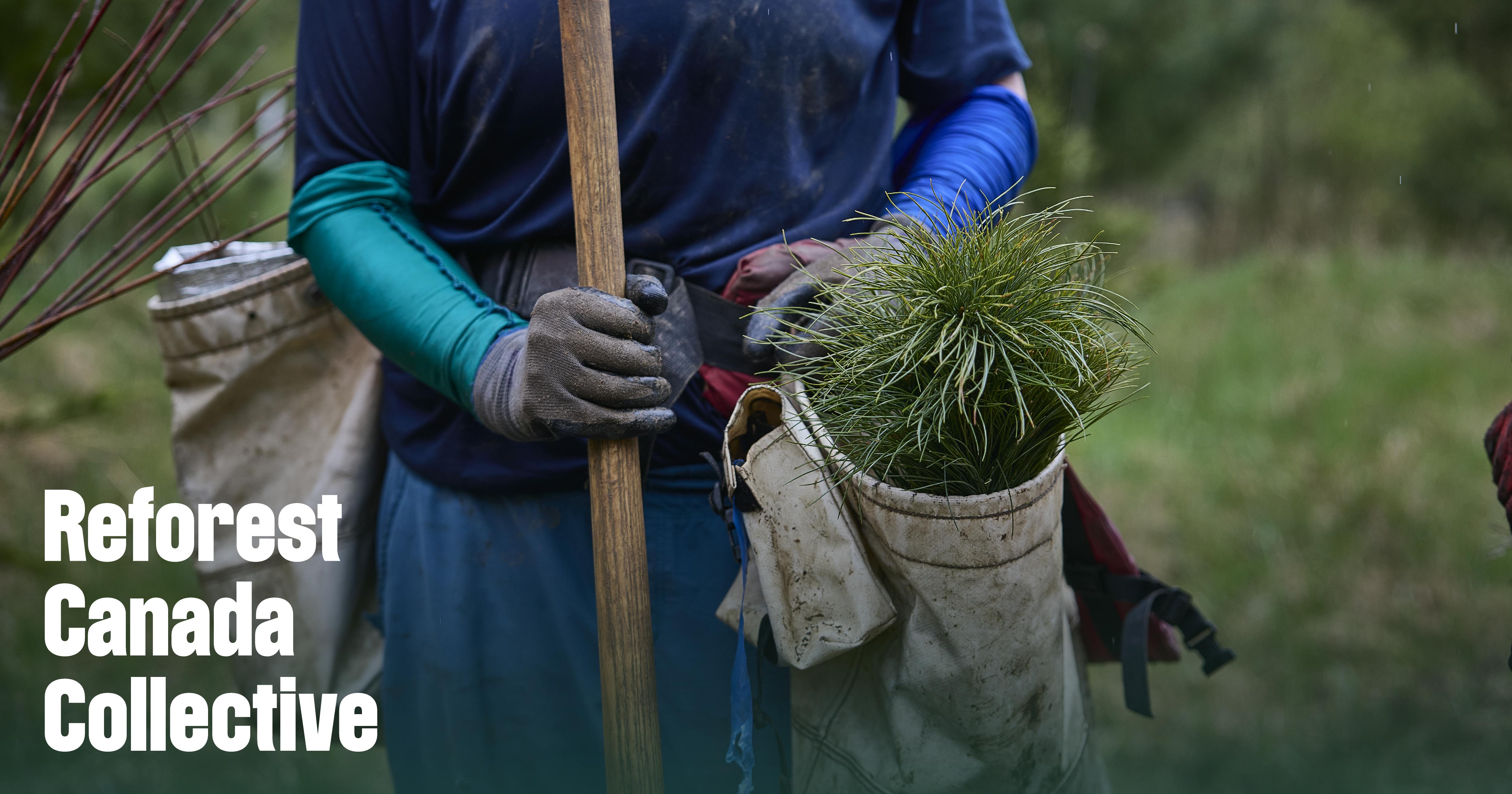 Home | Reforest Canada Collective