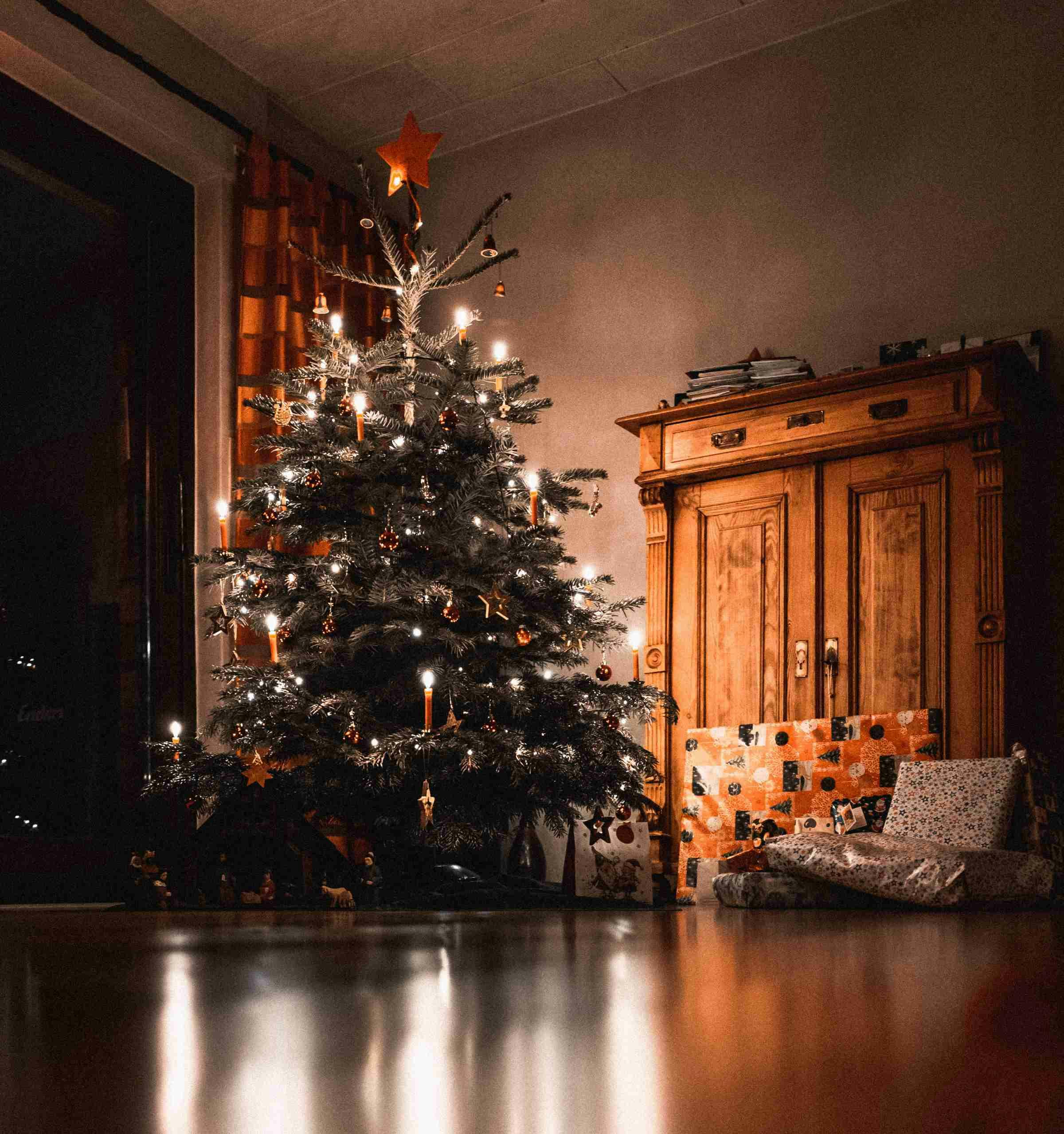 Christmas Trees in Fort St John | Four Mile Tree Farm