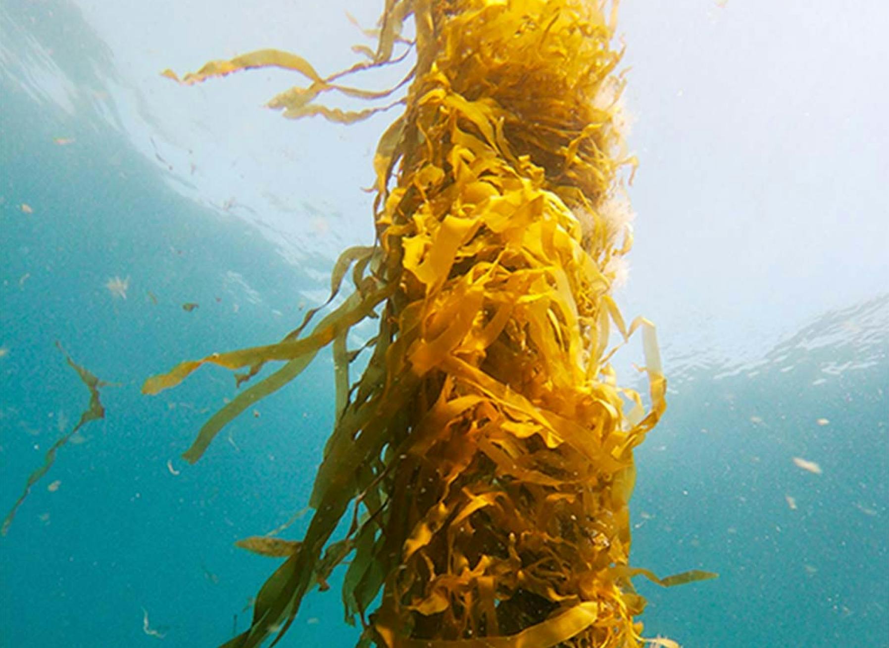 Framework | Framework | Blog Overview