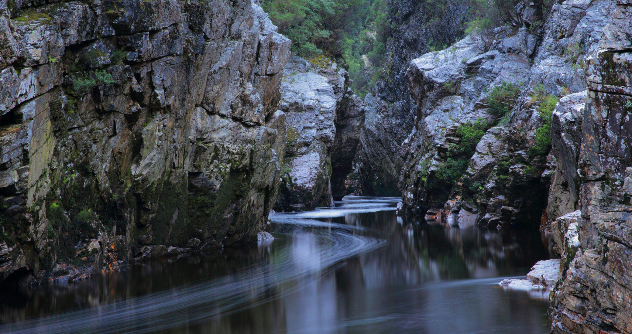 Franklin River Rafting, your trip down the Franklin River