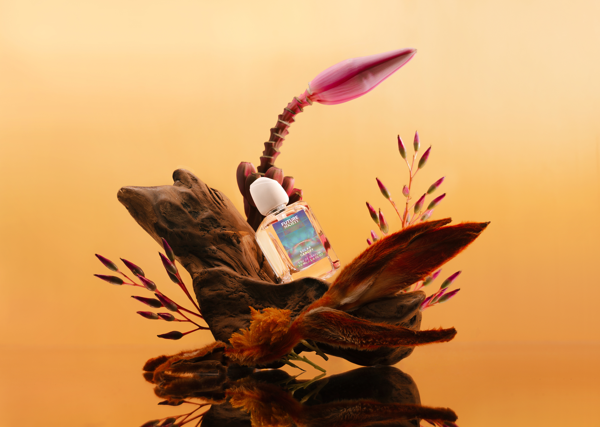 Biotech-Infused Fragrance Brand: Case Study | Front Row