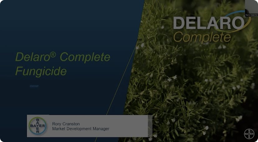 Maximize Pulse Crop Yield with Delaro Complete | Bayer Crop Science Canada