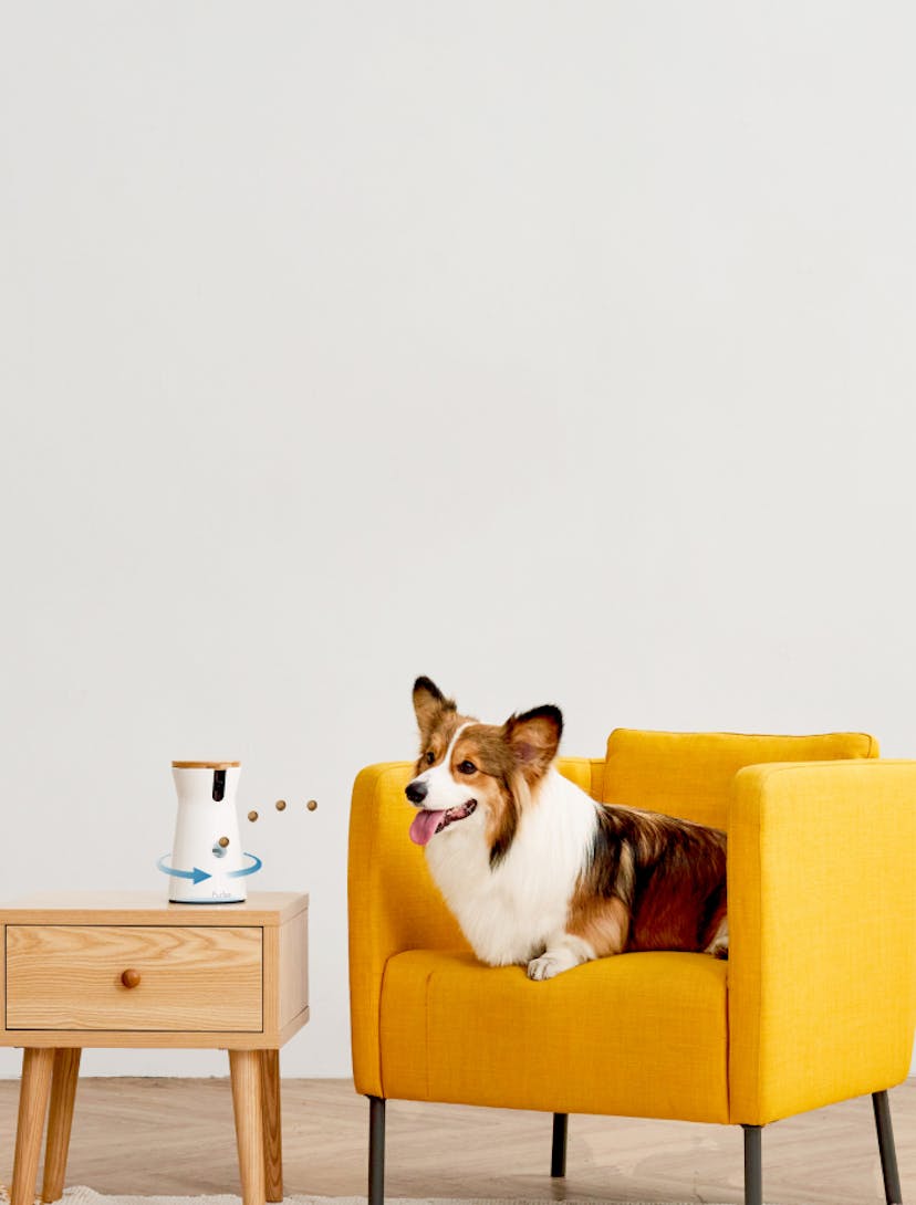 Furbo 360° Dog Camera｜Treat-tossing Pet Camera with 360° view