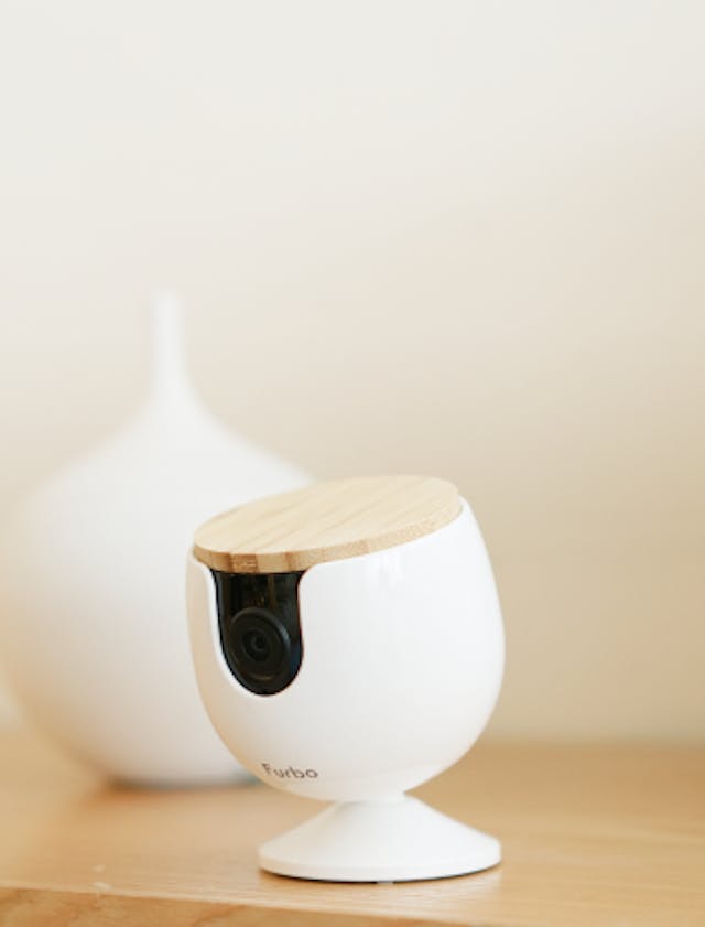 Compare Furbo Cameras｜Furbo