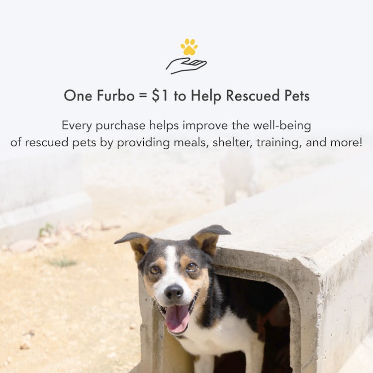 Furbo Mini｜Compact smart pet camera designed specifically for pets