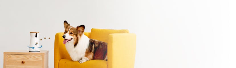 Furbo 360° Dog Camera｜Treat-tossing Pet Camera with 360° view