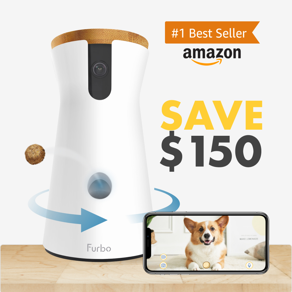 Furbo 360° Dog Camera | Treat-tossing Pet Camera with 360° view.
