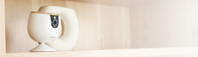 Compare Furbo Cameras｜Furbo