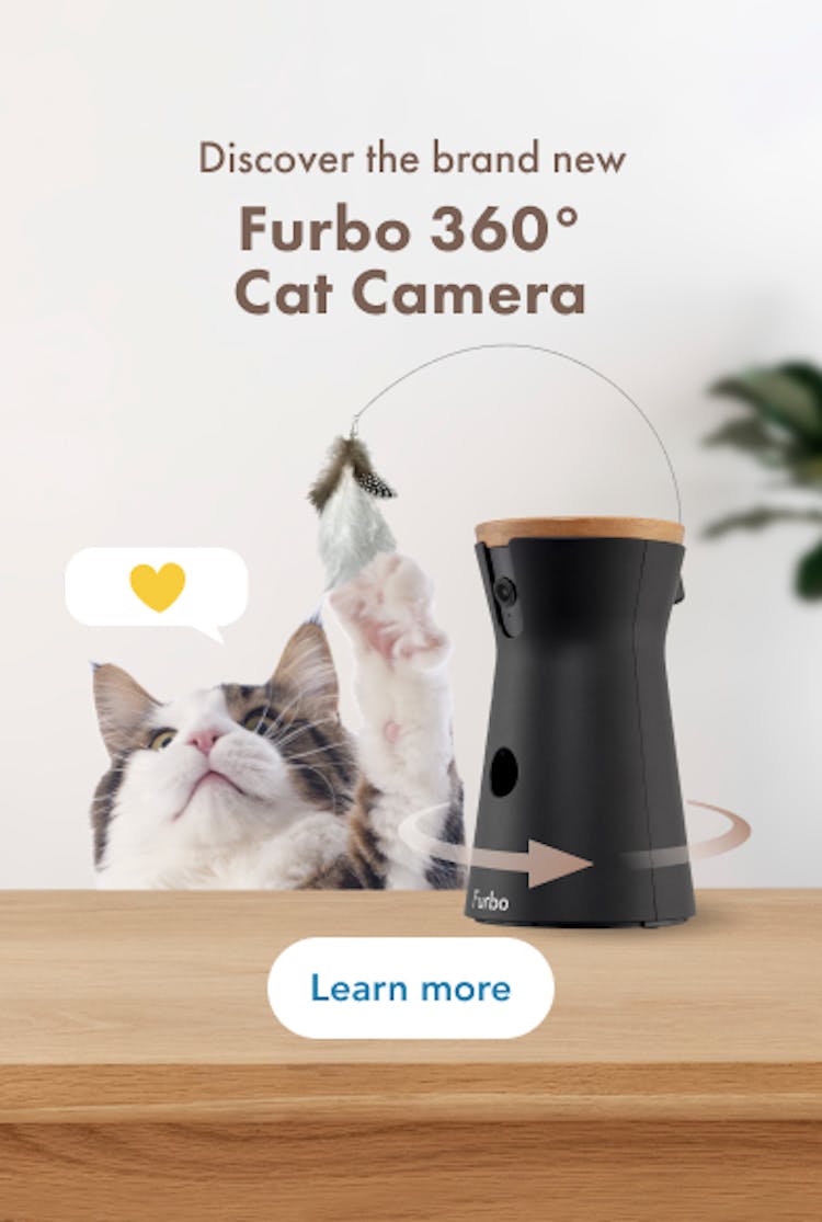 Furbo | #1 Best-selling Interative Pet Camera Brand