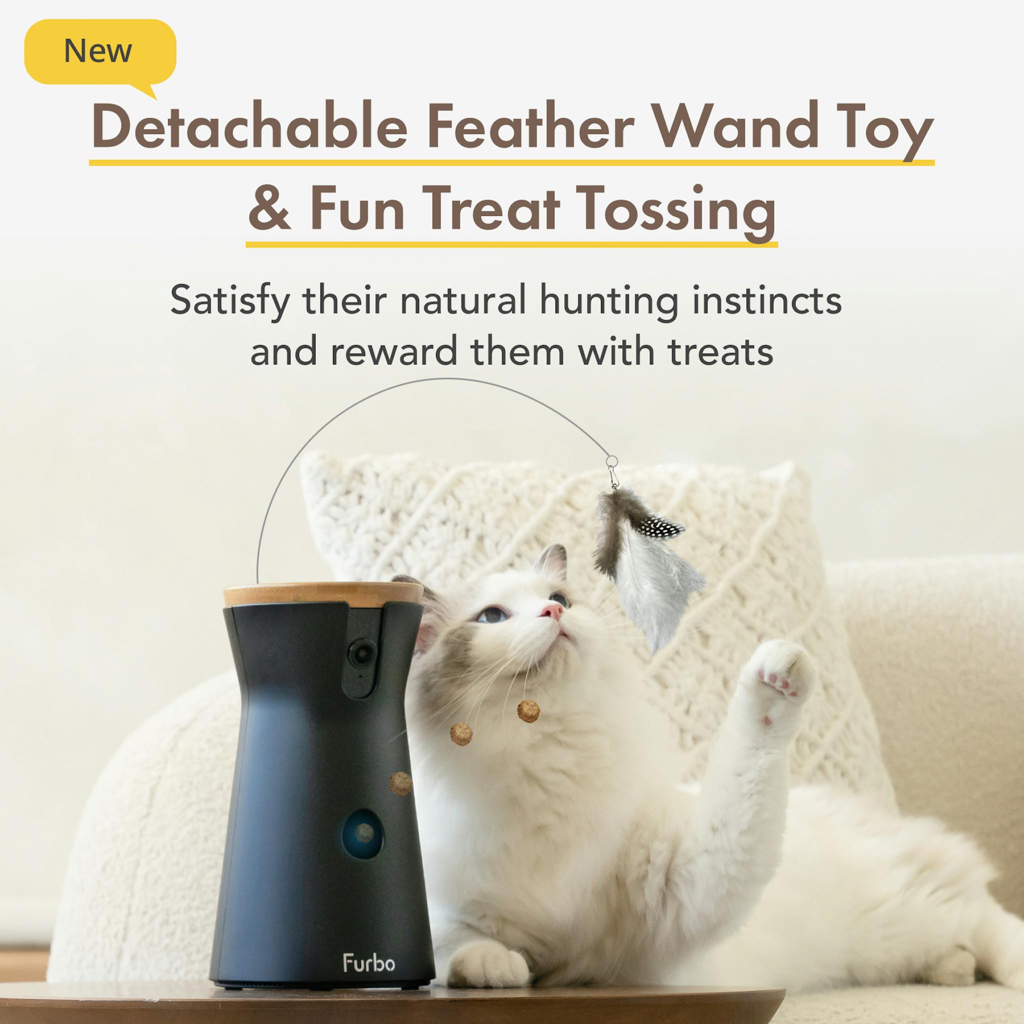 Furbo Cat Camera｜Pet Camera designed specifically for cats