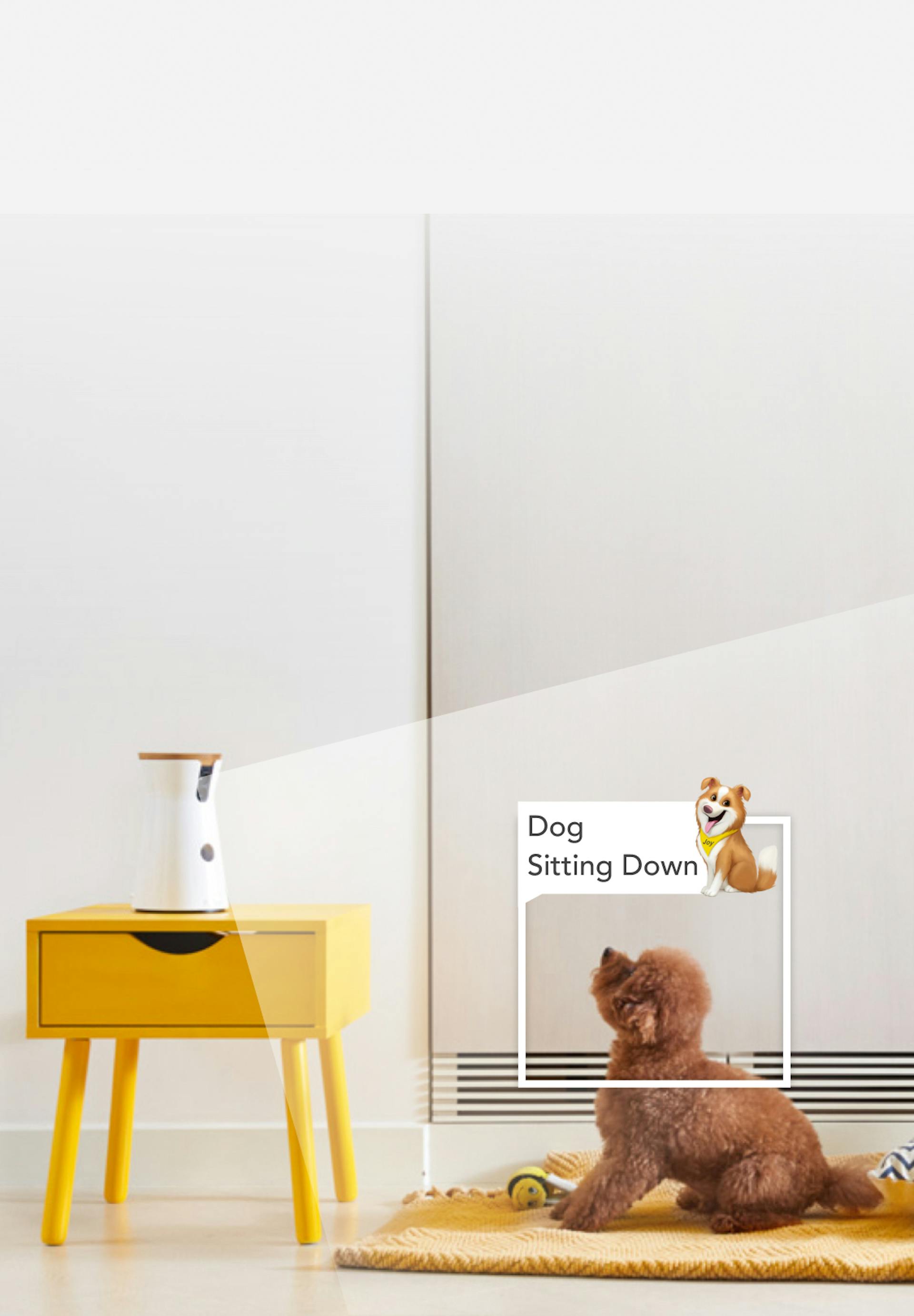 Furbo 360° Dog Camera | Treat-tossing Pet Camera with 360° view.