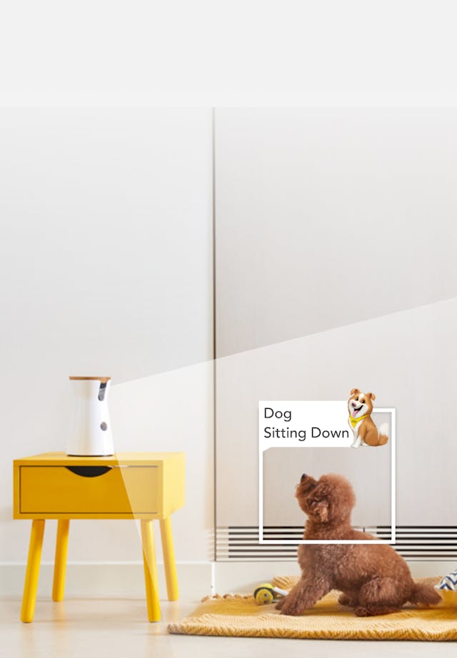Furbo 360° Dog Camera | Treat-tossing Pet Camera with 360° view.
