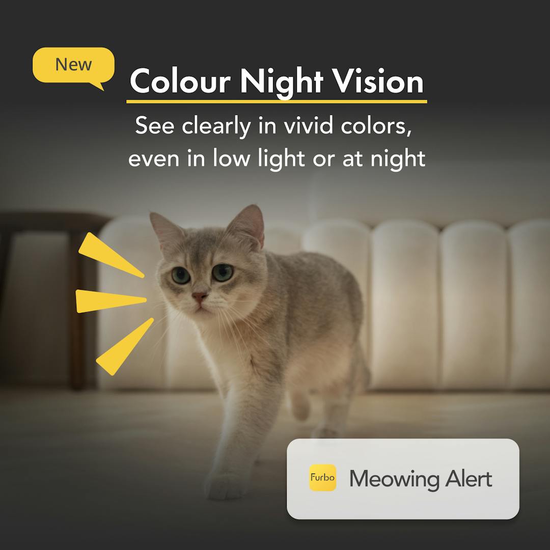 Furbo Mini｜Compact smart pet camera designed specifically for pets