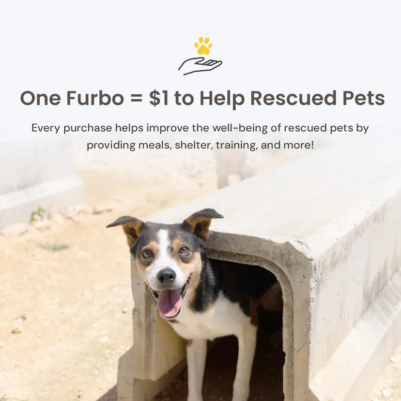 Subscribe and Save Plan｜Subscribe to Furbo Dog Nanny & SAVE on Furbo ...
