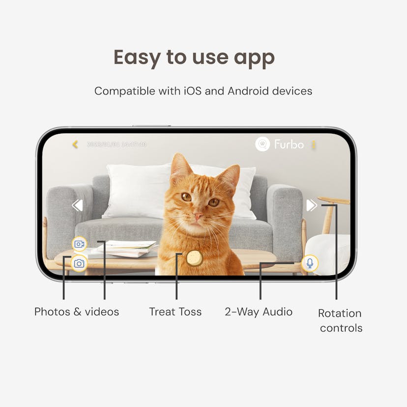 Furbo Cat Camera｜Pet Camera designed specifically for cats