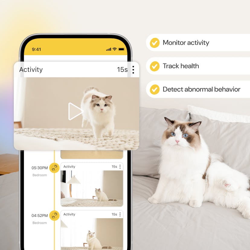 Furbo Cat Camera｜Pet Camera designed specifically for cats