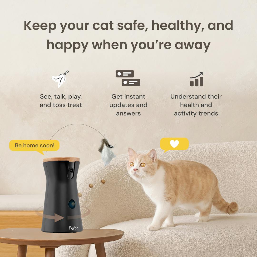 Furbo Cat Camera｜Pet Camera designed specifically for cats