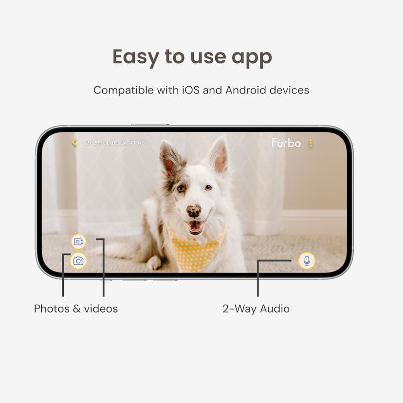 Furbo Mini｜Compact smart pet camera designed specifically for pets