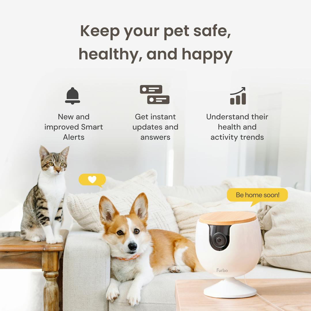 Furbo Mini｜Compact smart pet camera designed specifically for pets
