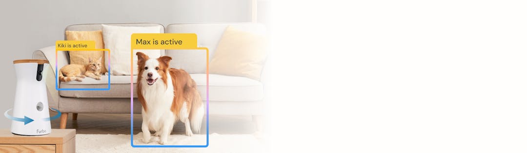 All Furbo Products | Furbo