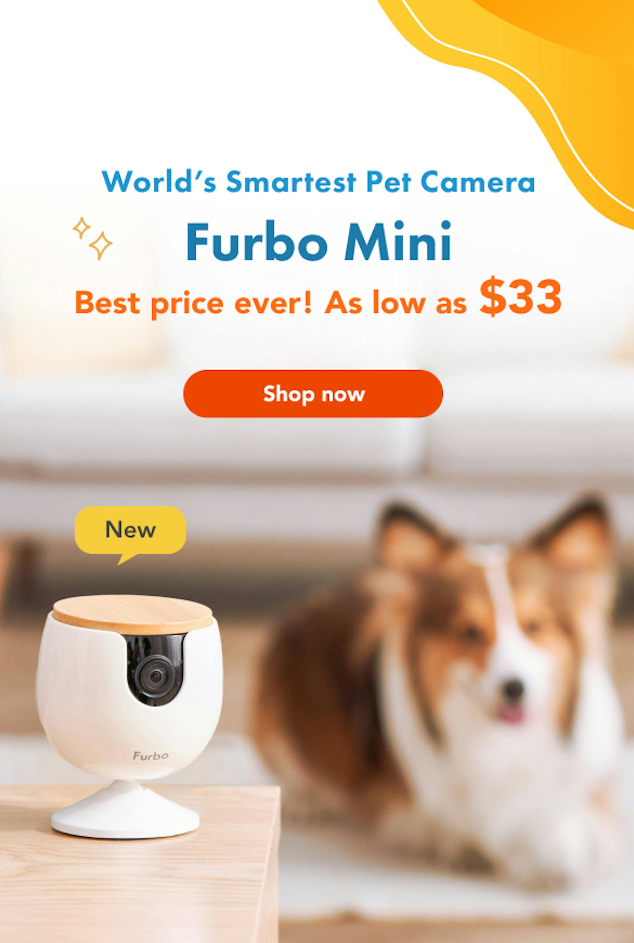Furbo｜#1 Best-selling Interactive Pet Camera Brand