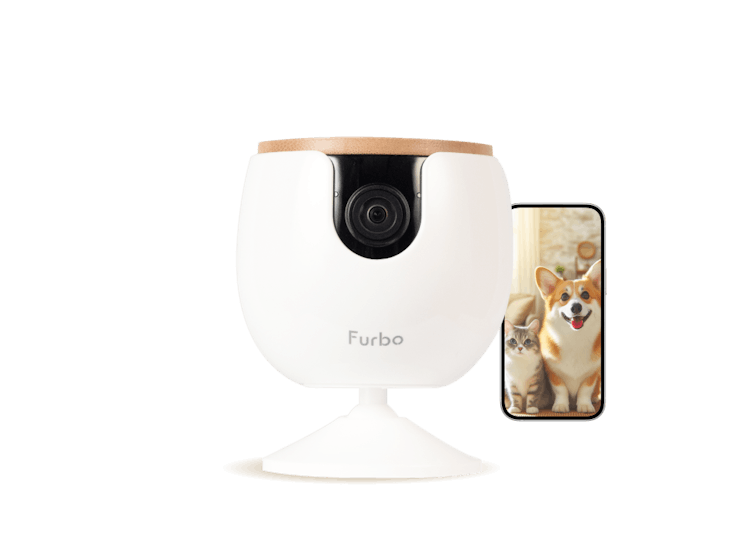 所有的Furbo產品｜Furbo