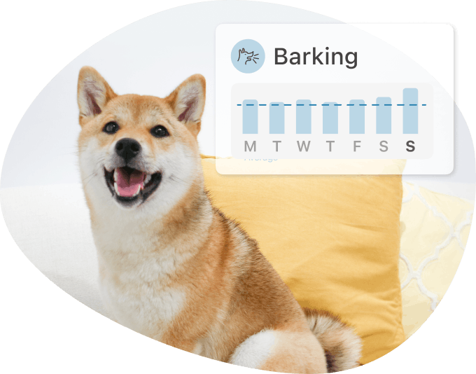 Furbo|#1 Best-selling Interactive Pet Camera Brand Furbo|#1 Best-selling Interactive Pet Camera Brand
