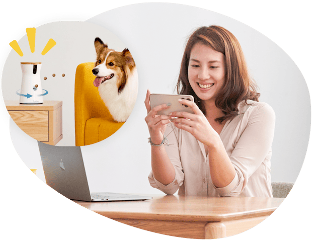 All Furbo Products | Furbo