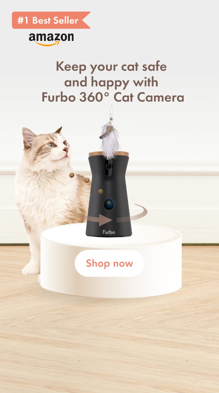 New Furbo Cat Camera｜Keep your cat safe and happy with Rotating 360 ...