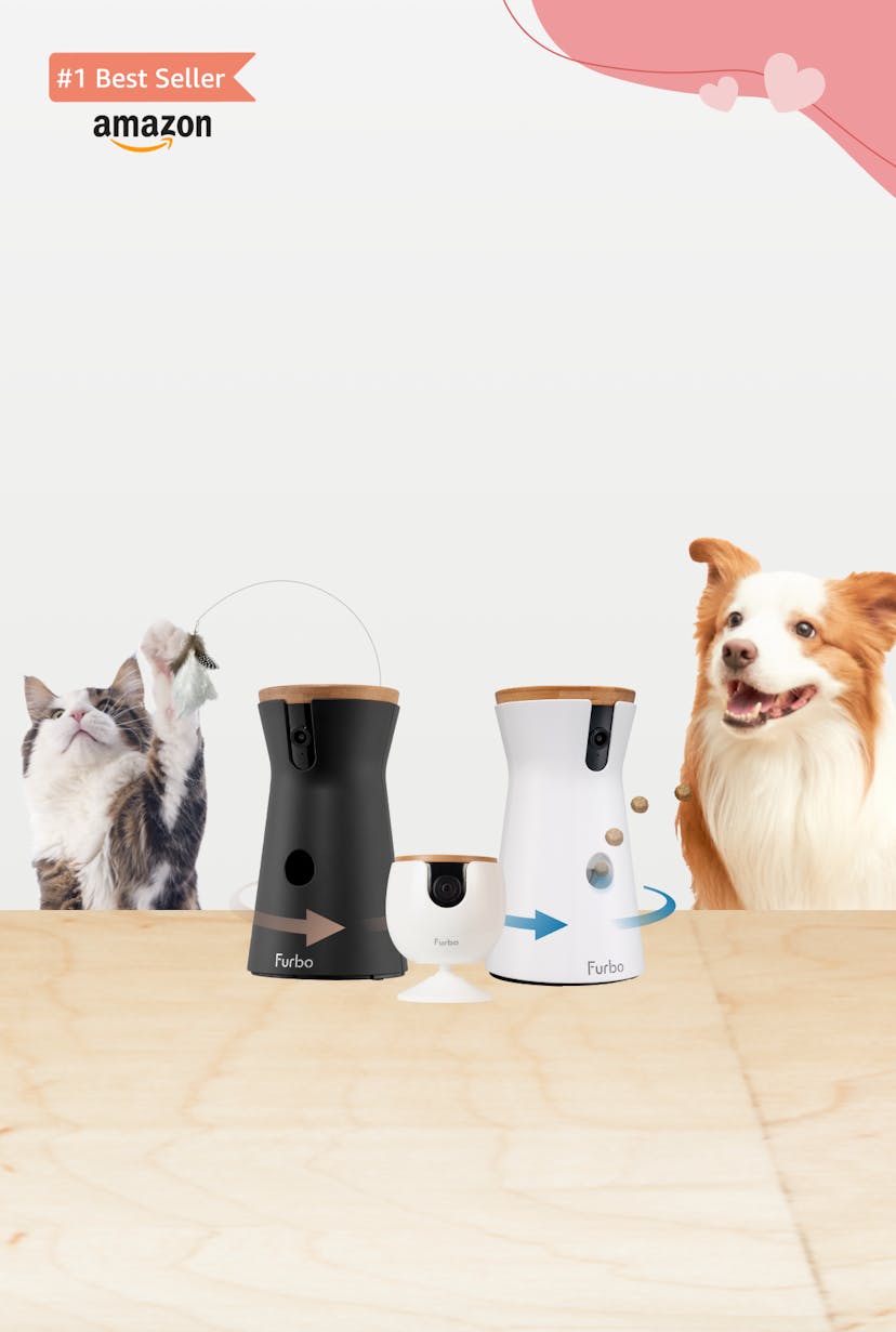 Furbo｜#1 Best-selling Interactive Pet Camera Brand