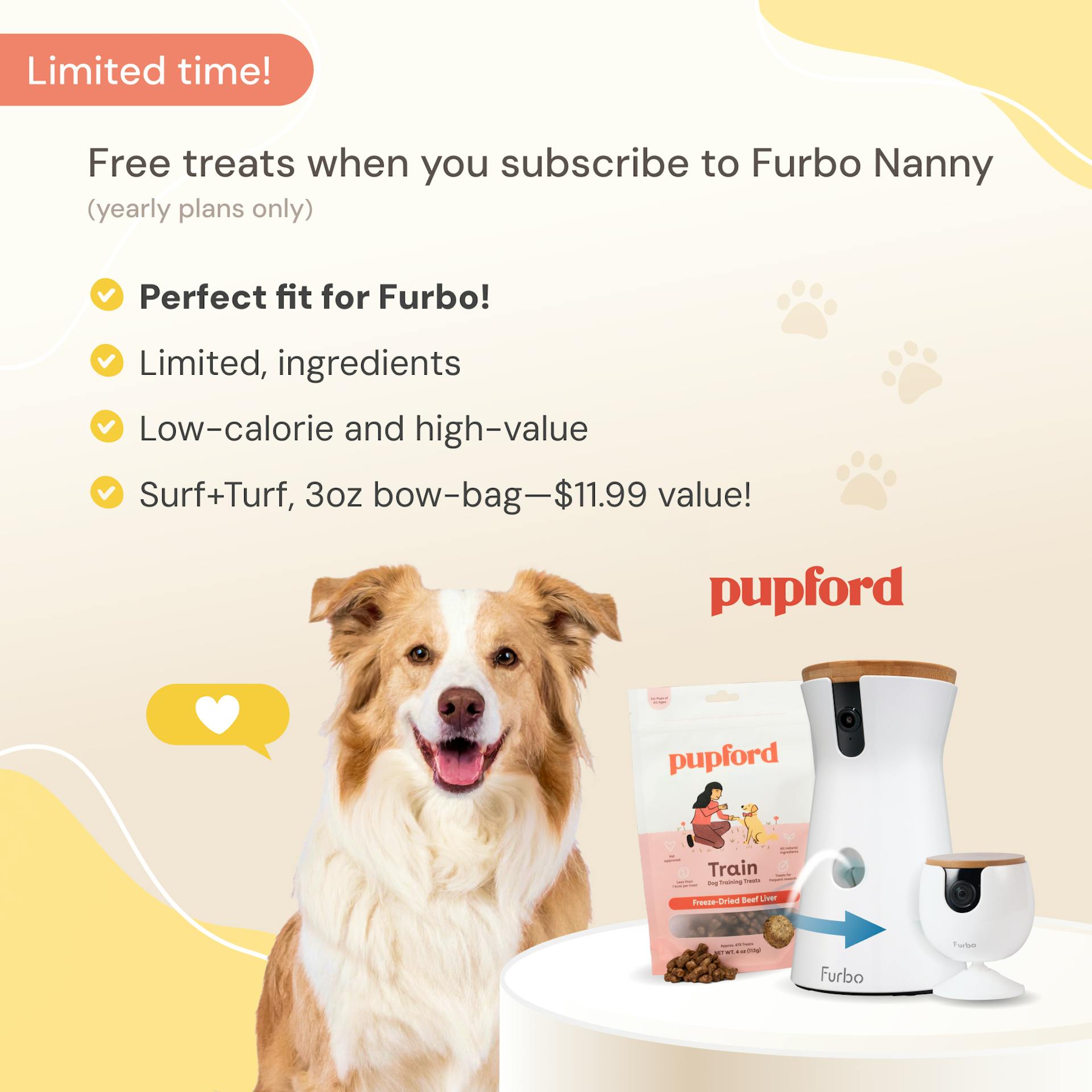 Furbo Mini｜Compact smart pet camera designed specifically for pets
