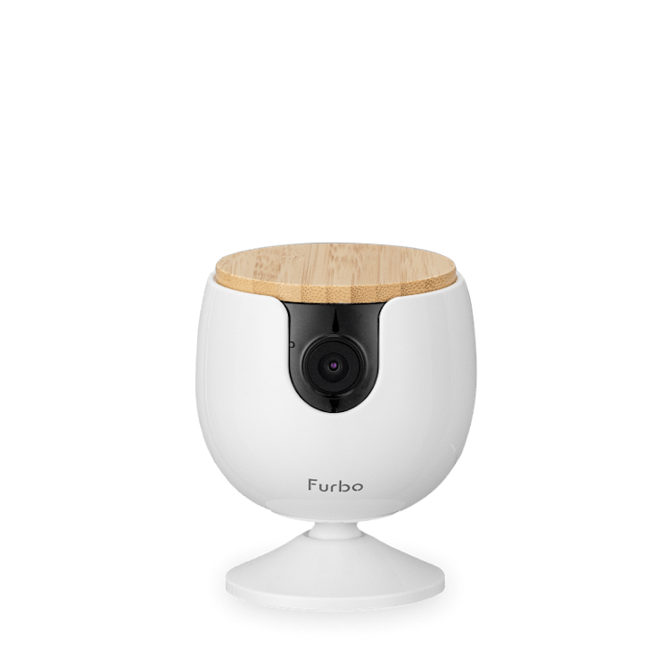 Compare Furbo Cameras｜Furbo