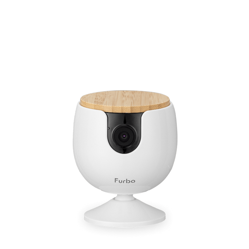 Compare Furbo Cameras｜Furbo
