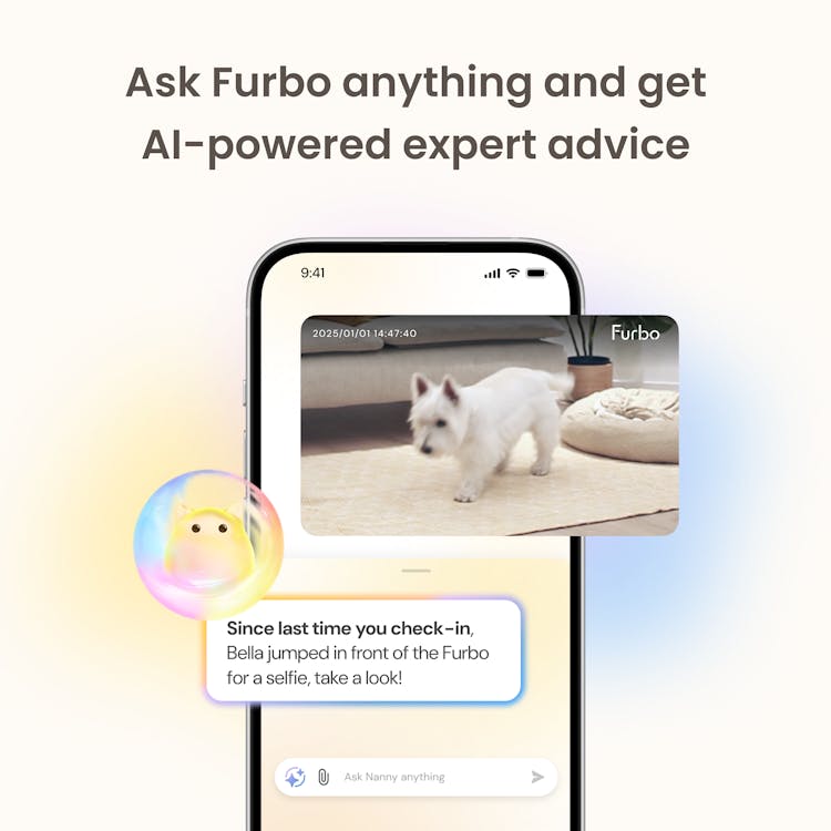 All New | Furbo Mini 360°