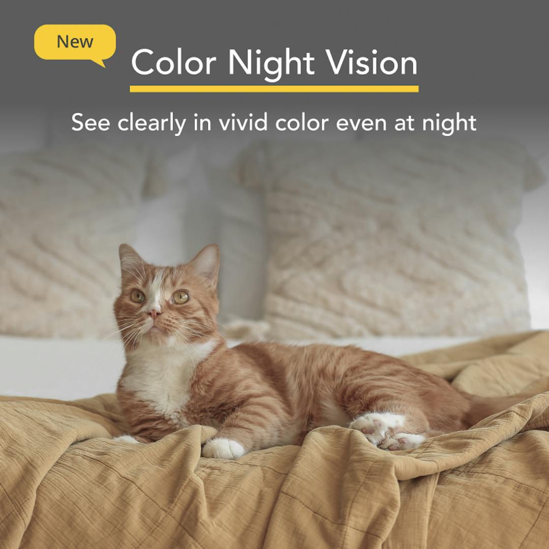 Furbo Cat Camera | Pet Camera designed specifically for cats