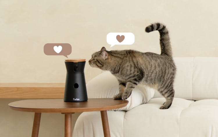 Furbo Cat Camera｜Pet Camera designed specifically for cats