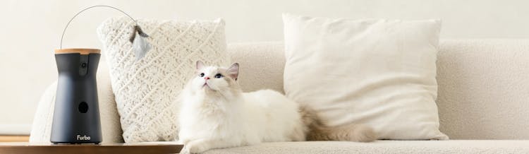 New Furbo Cat Camera｜Keep your cat safe and happy with Rotating 360 ...