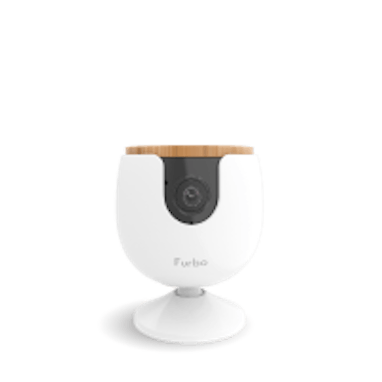 Compare Furbo Cameras｜Furbo