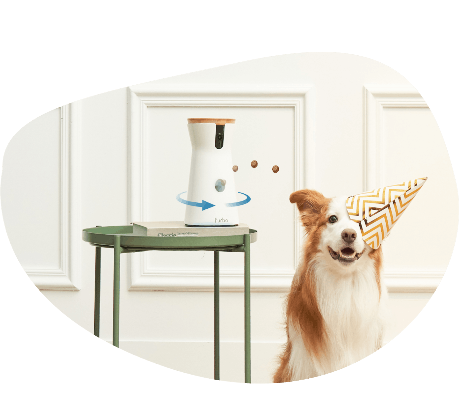 Furbo｜品牌故事